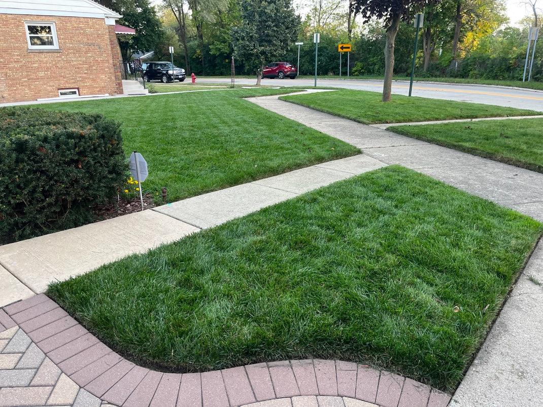 Lawnbright Natural Lawn Care Plans