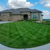 Natural Lawn Care Subscription | Super Turf Grass Seed – Lawnbright